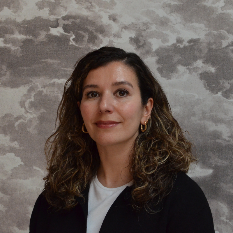 Canan Sayitoglu - 3rd Donor Selection & Cell Source Summit